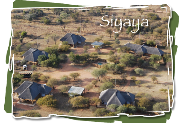 Siyaya